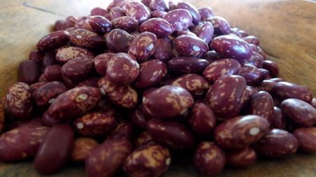 Beans from Ecuador – Rancho Gordo