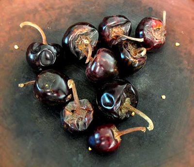 Cascabel chile sauce – Rancho Gordo