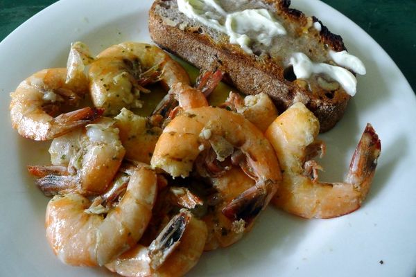 Easy Shrimp with Oregano Indio Recipe – Rancho Gordo