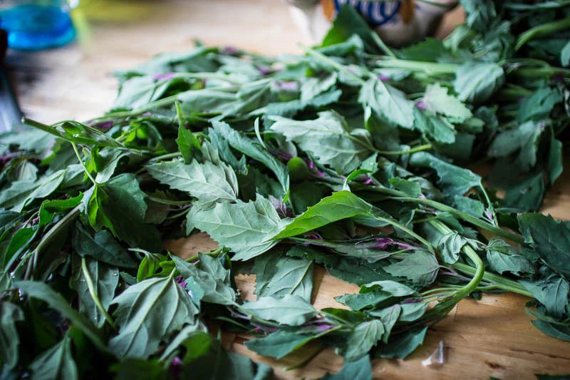 How to Make Garbage Soup and Eat Well All Week – Rancho Gordo