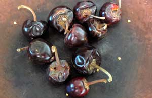 Muy Easy Cascabel Chile Sauce – Rancho Gordo