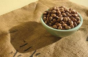 When to Salt the Beans – Rancho Gordo