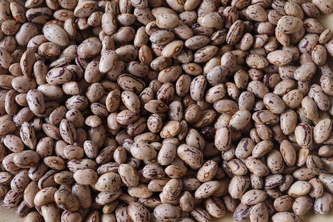 Waitlist Beans – Rancho Gordo