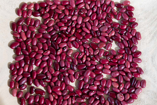 Rancho Gordo Bean Club Portal