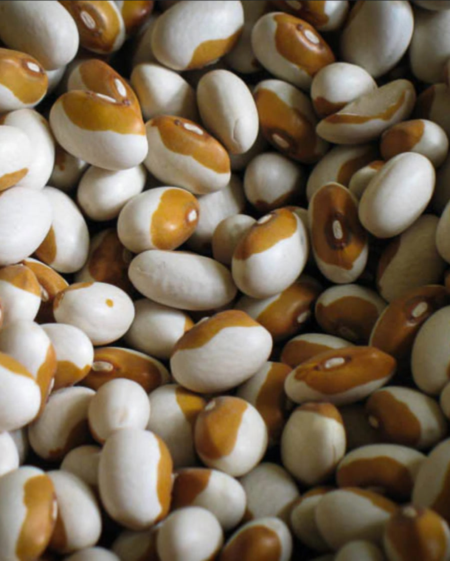 Rancho Gordo - Heirloom beans, grains, spices, and more