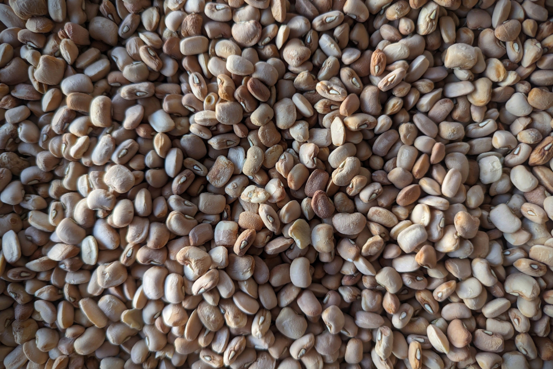 Heirloom Beans – Rancho Gordo