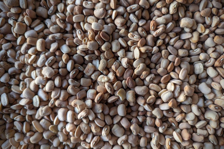 Heirloom Beans – Rancho Gordo
