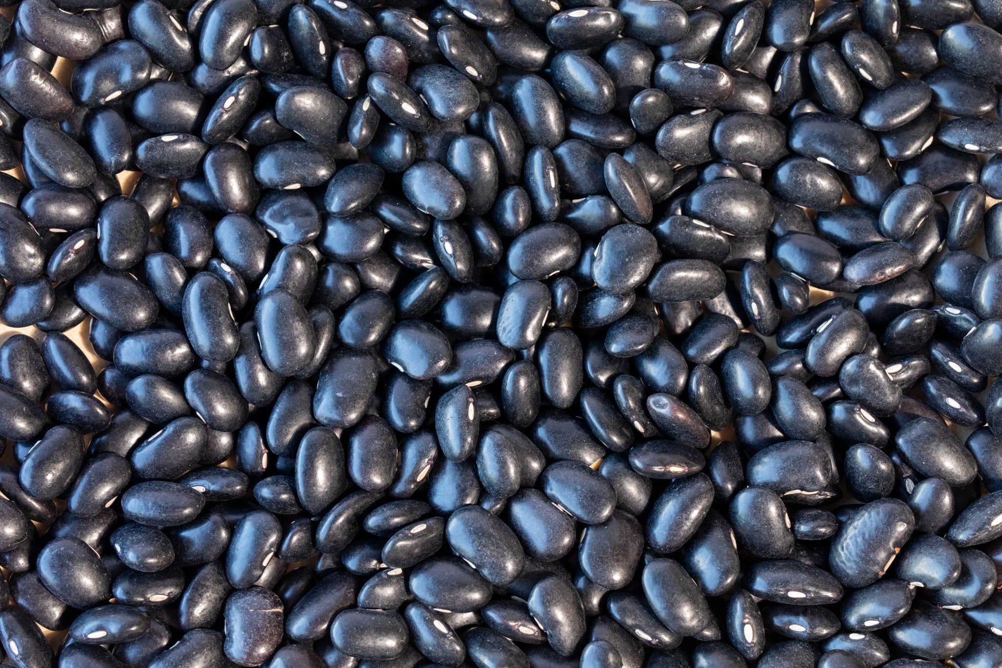 Heirloom Beans – Rancho Gordo