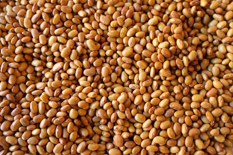 Buckeye Beans with Roasted Peppers & Pumpkin Seeds – Rancho Gordo