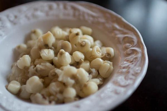 Cacahuazintle Posole/Prepared Hominy – Rancho Gordo