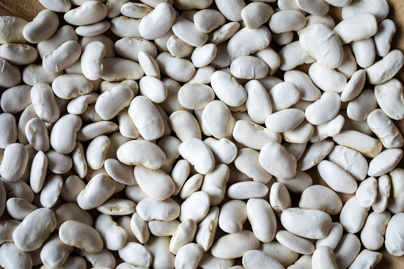California Corona Bean – Rancho Gordo