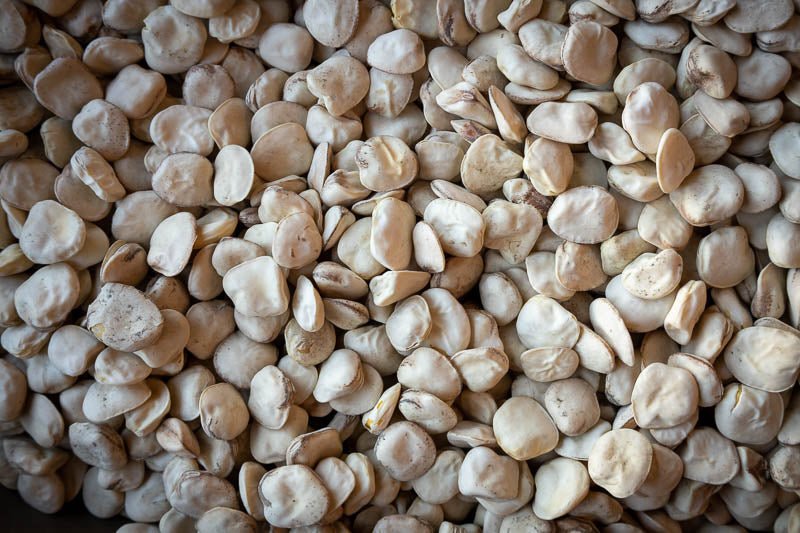 Pasta with Cicerchia and Mushrooms Recipe – Rancho Gordo