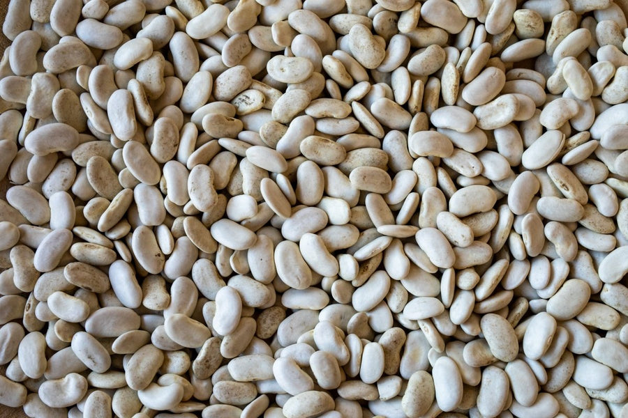 Dirty Cassoulet Bean – Rancho Gordo