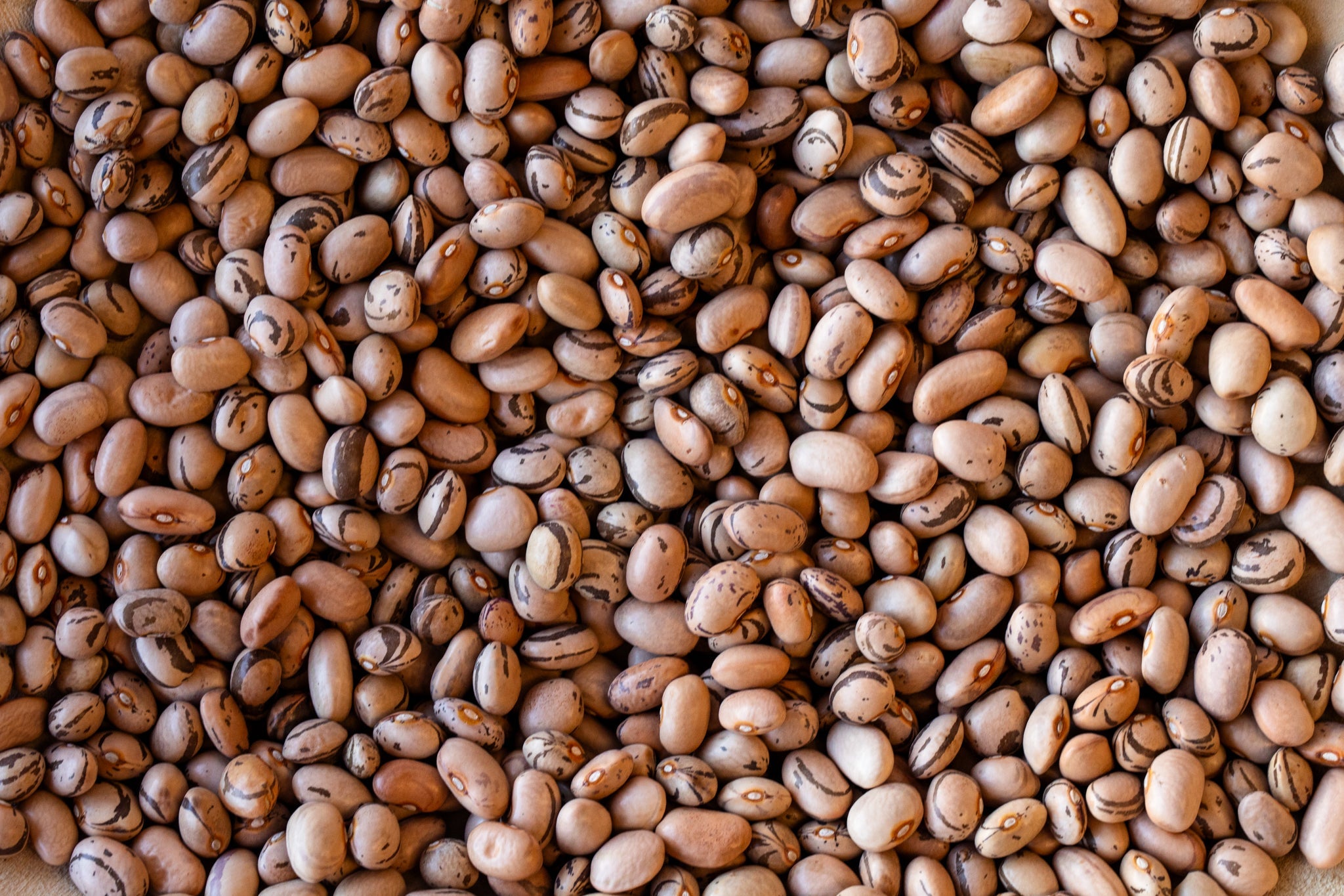 Drunken Beans Recipe – Rancho Gordo