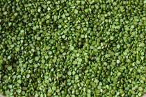 Split Pea Soup with (or Without) Crispy Prosciutto – Rancho Gordo