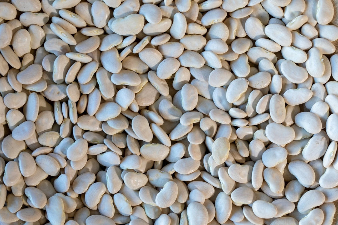 Large White Lima Bean – Rancho Gordo