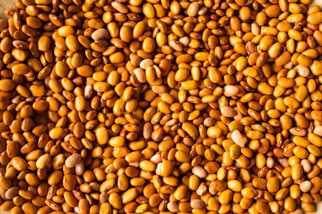Rancho Gordo Bean Club Portal
