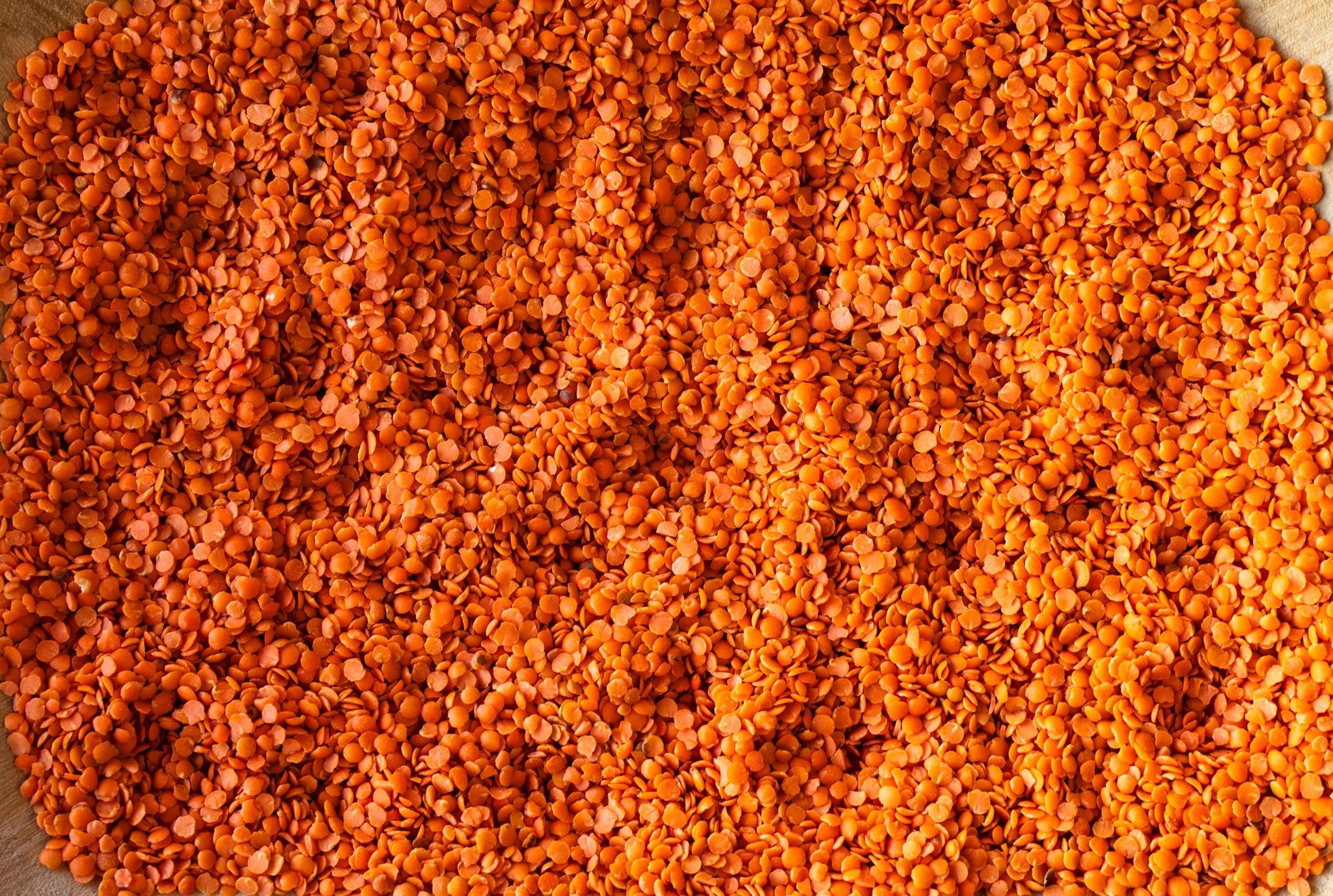 Masoor Dal (Split Red Lentils) – Rancho Gordo