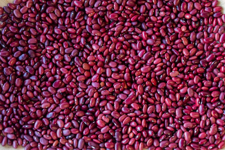 Mayan Red Bean – Rancho Gordo