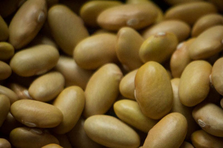 Mayocoba Bean – Rancho Gordo