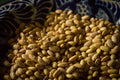 Mayocoba Bean – Rancho Gordo