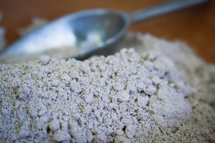 Pinole Azul (Heirloom Blue Corn Pinole) – Rancho Gordo