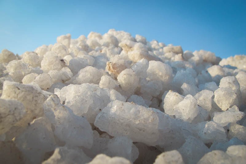 Sal de Mar (Sea Salt) – Rancho Gordo