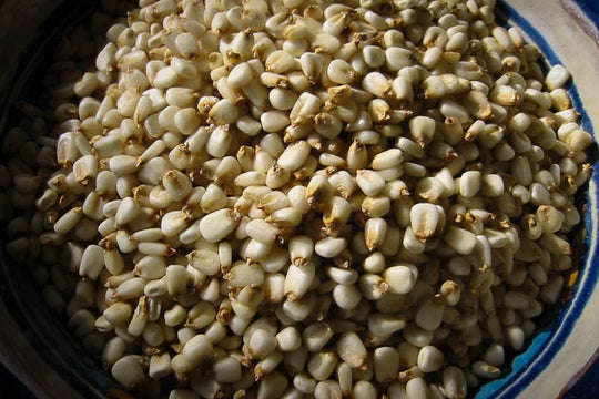 Dried White Corn Hominy (Pozole or Posole) – Rancho Gordo