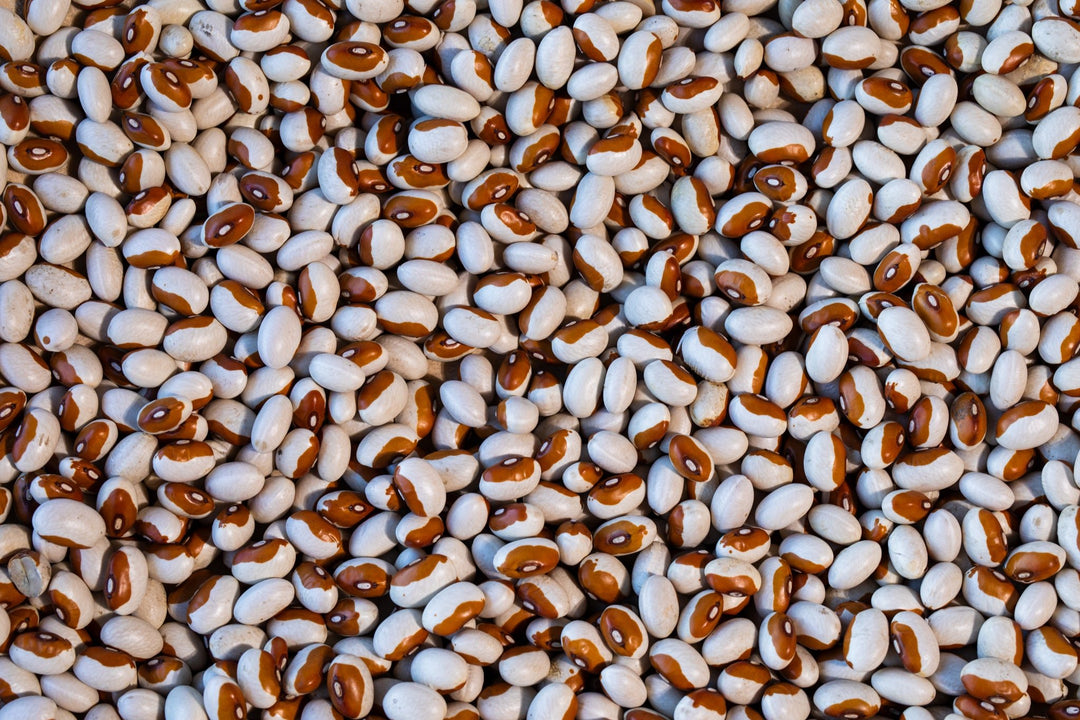 Yellow Eye Bean – Rancho Gordo