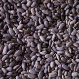 Rebosero Bean – Rancho Gordo