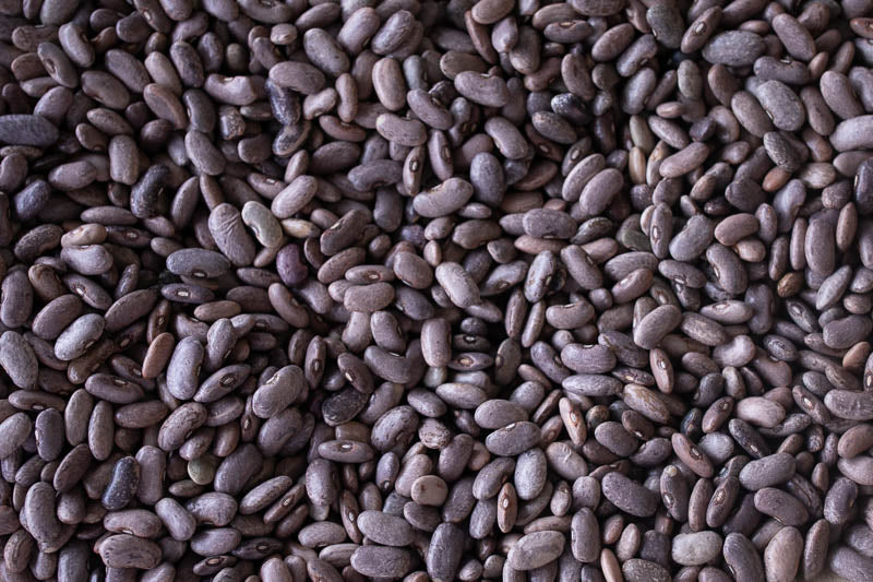Rebosero Bean – Rancho Gordo